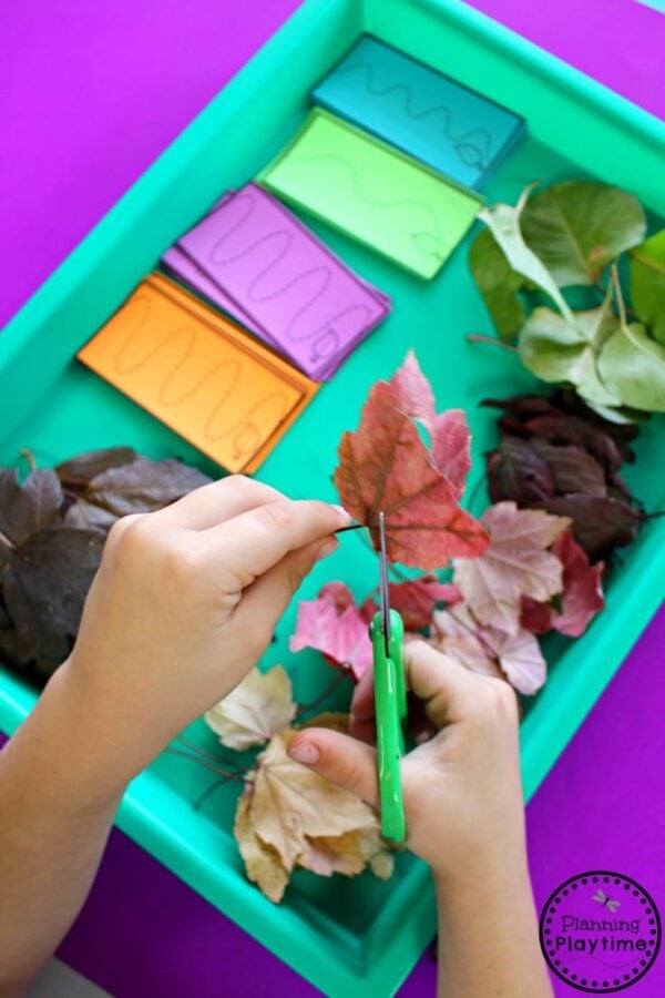 Fall Preschool Unit - Planning Playtime