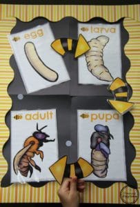 Dramatic Play Bees - Planning Playtime