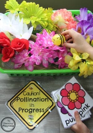 Dramatic Play Bees - Planning Playtime