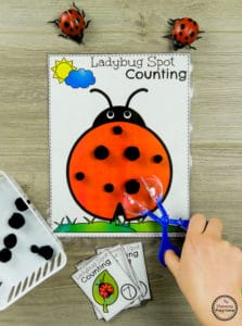 Bug Activities - Planning Playtime
