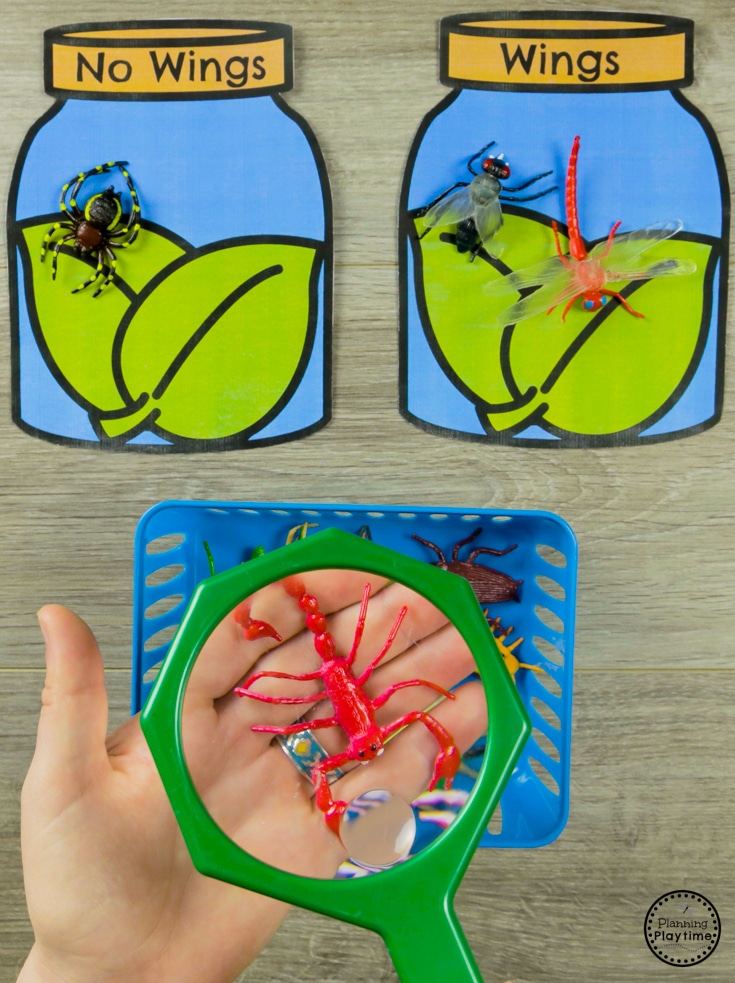 Bug Theme Preschool Planning Playtime Bug Theme Preschool Planning Playtime
