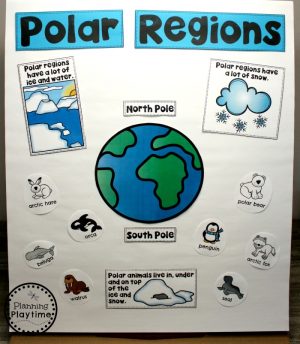 Arctic Animals Activities - Planning Playtime