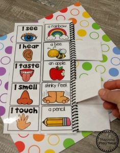 5 Senses - Planning Playtime