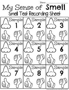 5 Senses - Planning Playtime