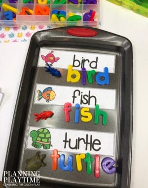 Pet Activities for Preschool - Planning Playtime