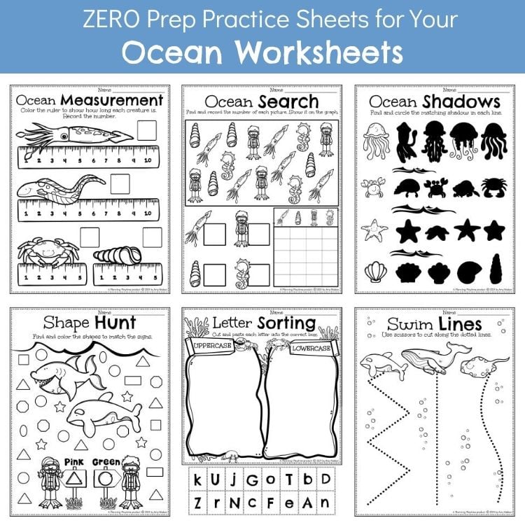Ocean Theme Worksheets For Kindergarten
