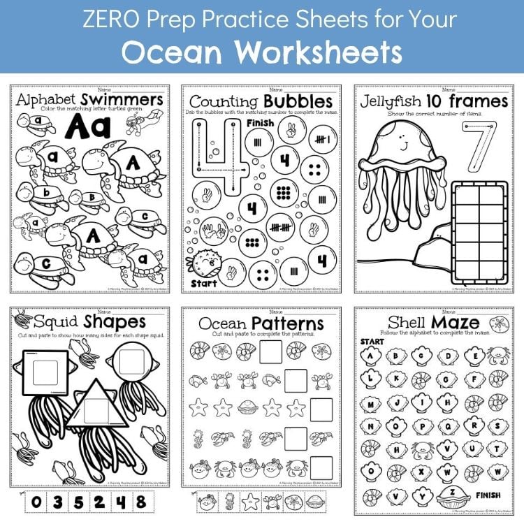 Ocean Worksheet