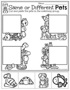 Pet Theme Centers Preschool - Planning Playtime