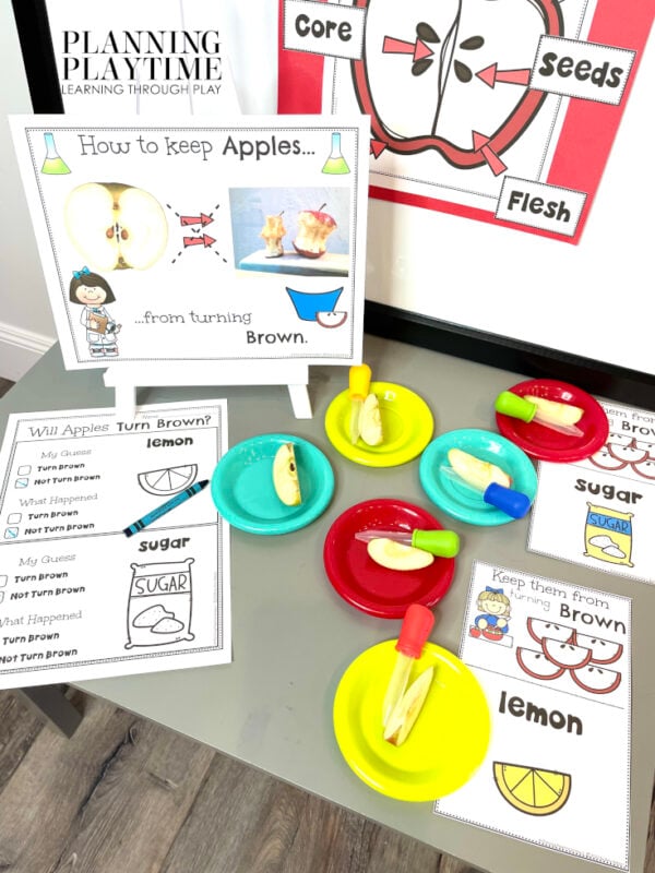 Apple Science Preschool - Planning Playtime