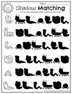 Shadow Matching Worksheet - Bug Theme Worksheet Pack - Planning Playtime