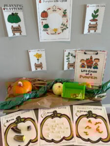 Pumpkin Science Activities Preschool - Planning Playtime