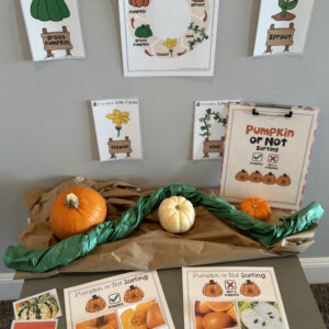 Pumpkin Science Activities - Planning Playtime