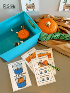 Pumpkin Science Activities Preschool - Planning Playtime
