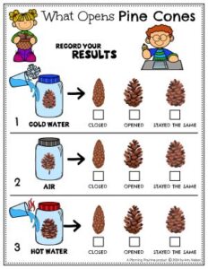 Winter Science Activities - Planning Playtime