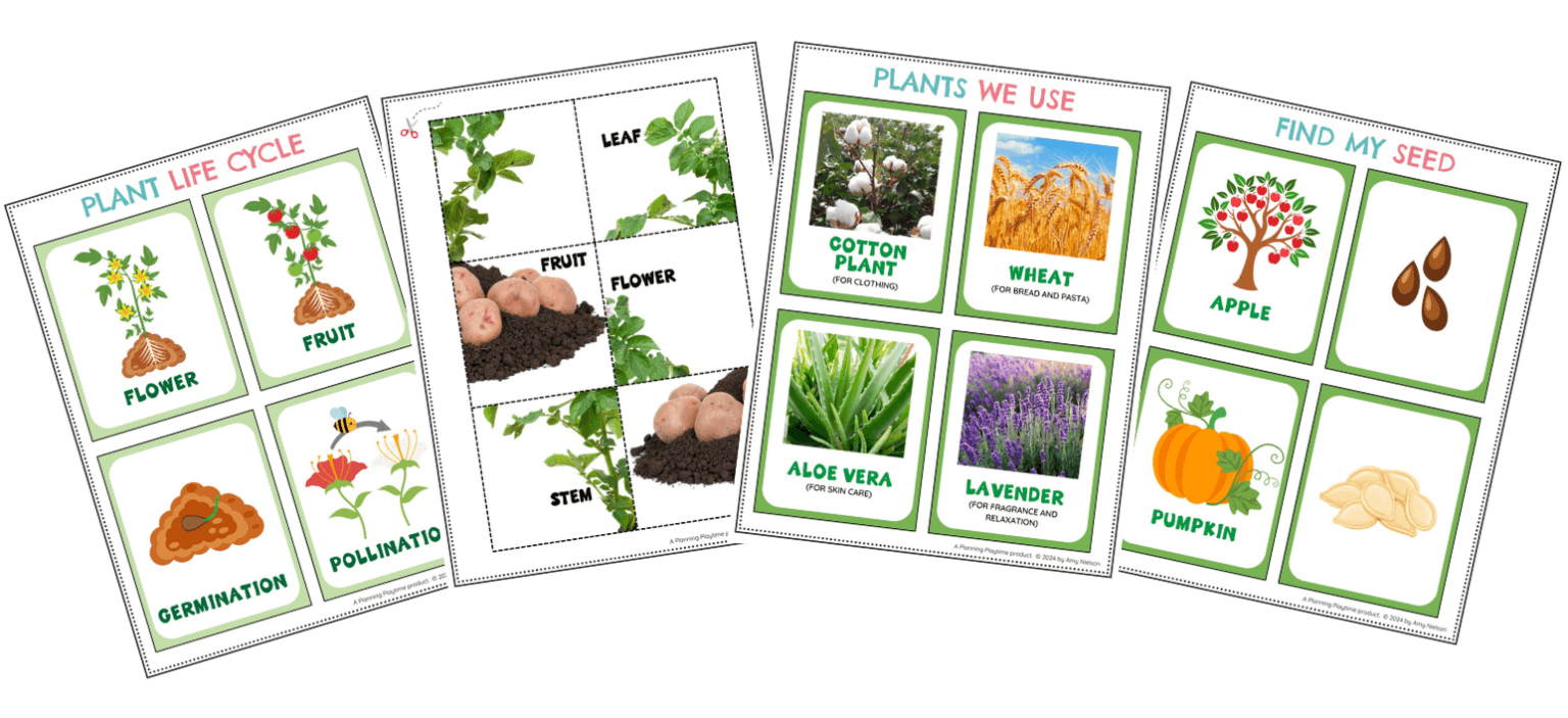 Engaging Plant Science Activities for Preschool and Kindergarten ...