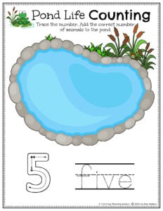 Pond Life Preschool Activities and Centers - Planning Playtime